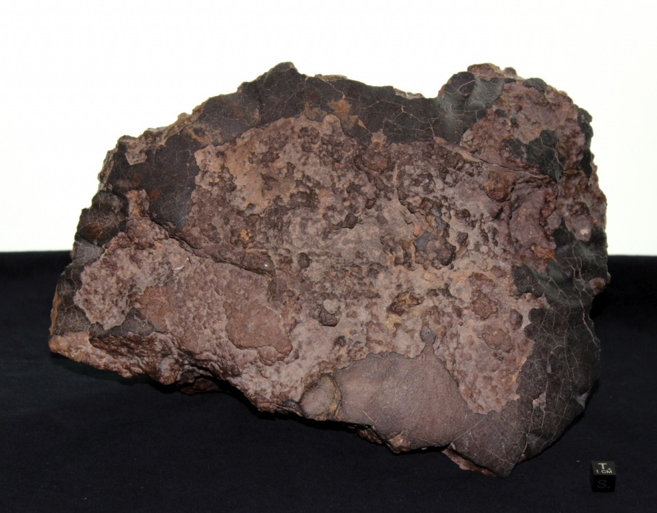 LL-Chondrit aus der Sahara (2009) - Freunde des Naturhistorischen ...